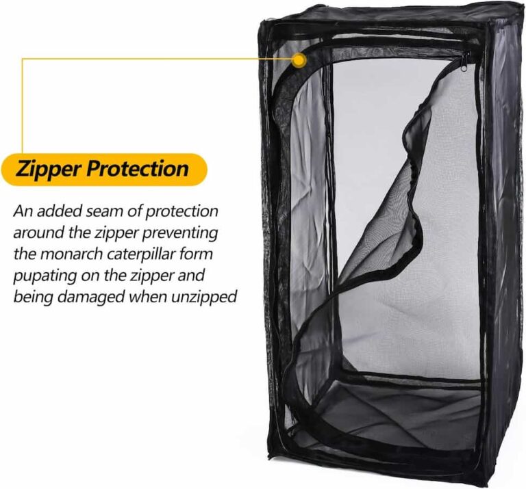 Butterfly Cages for Raising Monarch Caterpillars • Refresh Living