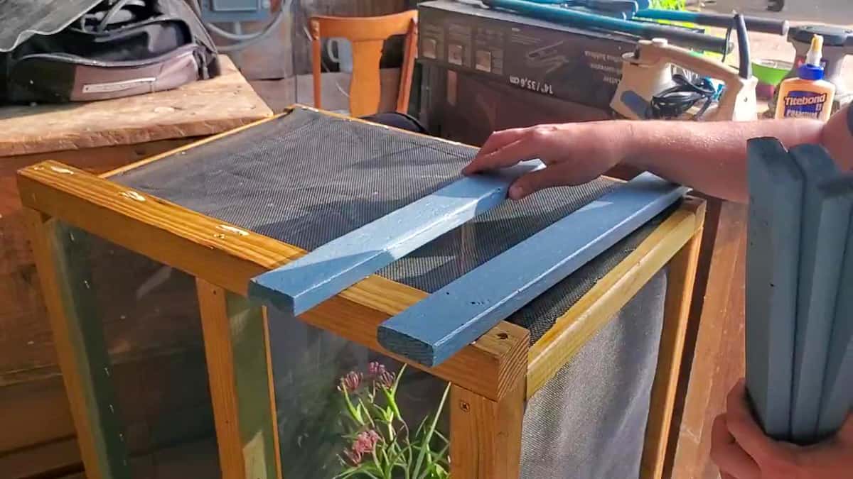 Butterfly Cages for Raising Monarch Caterpillars • Refresh Living